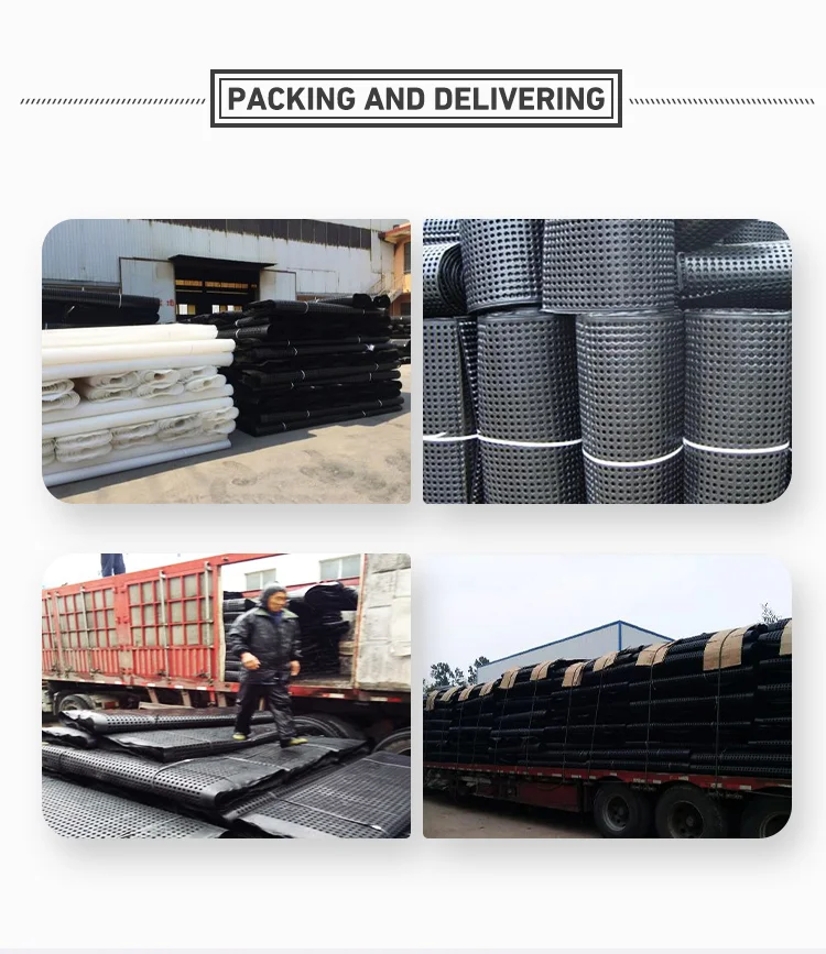 Dimpled Plastic Drain Sheet - Efficient Drainage Solutions
