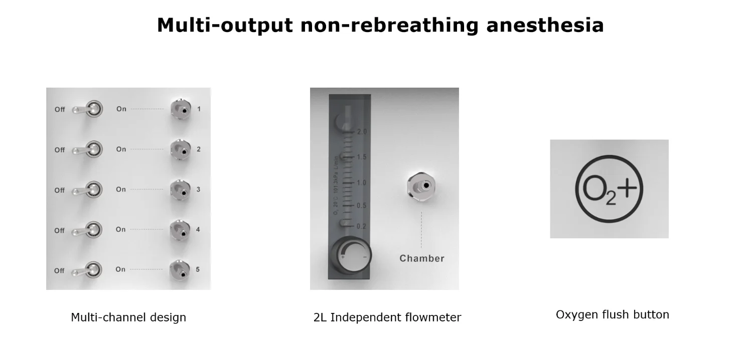 High-end Non-rebreathing Anesthesia Machine Veterinary Anesthesia ...