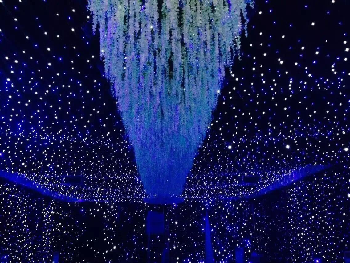 Homei Lighting 4*6m Blue And White Led Star Curtain Backdrop For Night ...