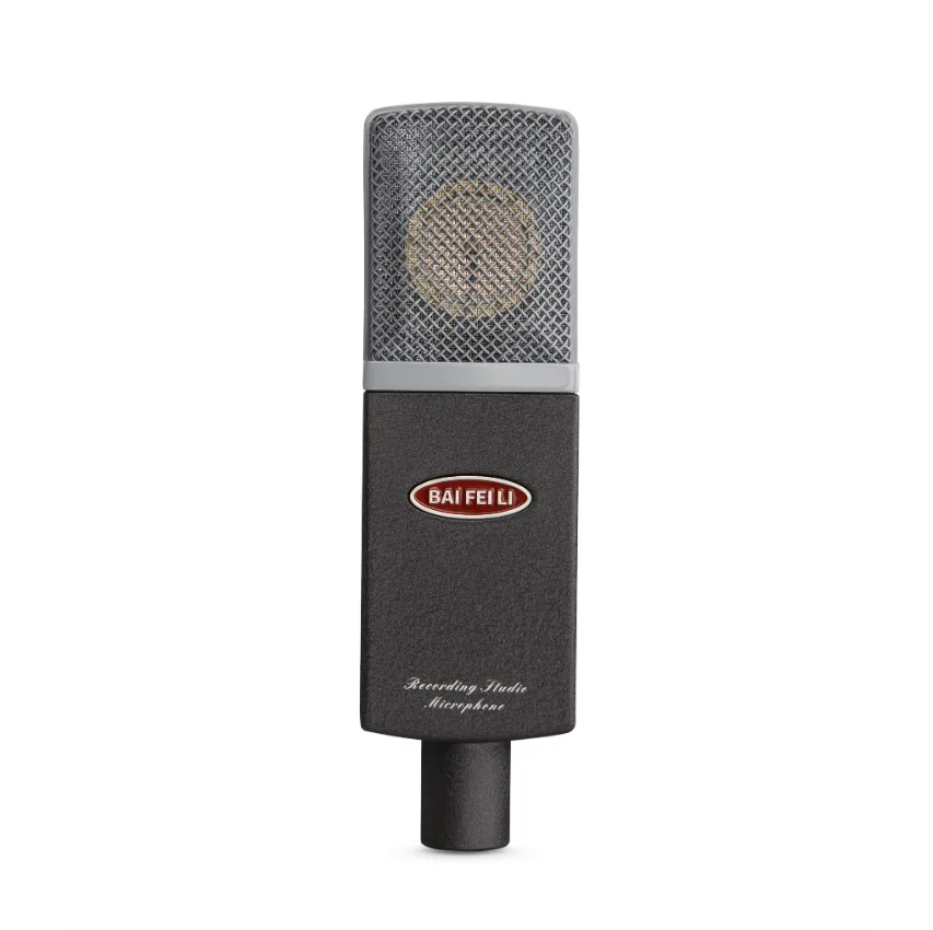 BAIFEILI V5 XLR Microphone - Professional Studio Recording