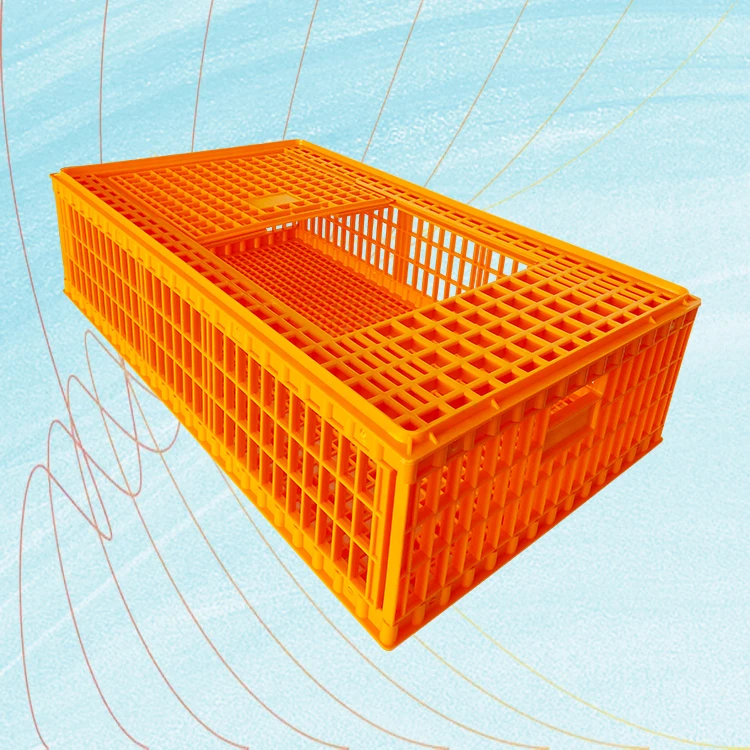 Durable Poultry Transport Cages - Customized Solutions