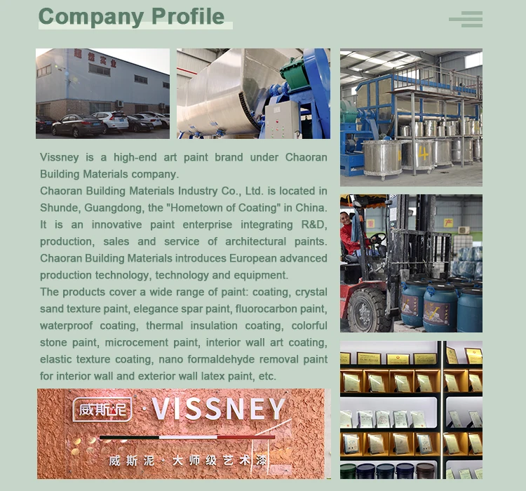 Vissney Gamazine Wall Coating - Eco-Friendly Decorative Paint