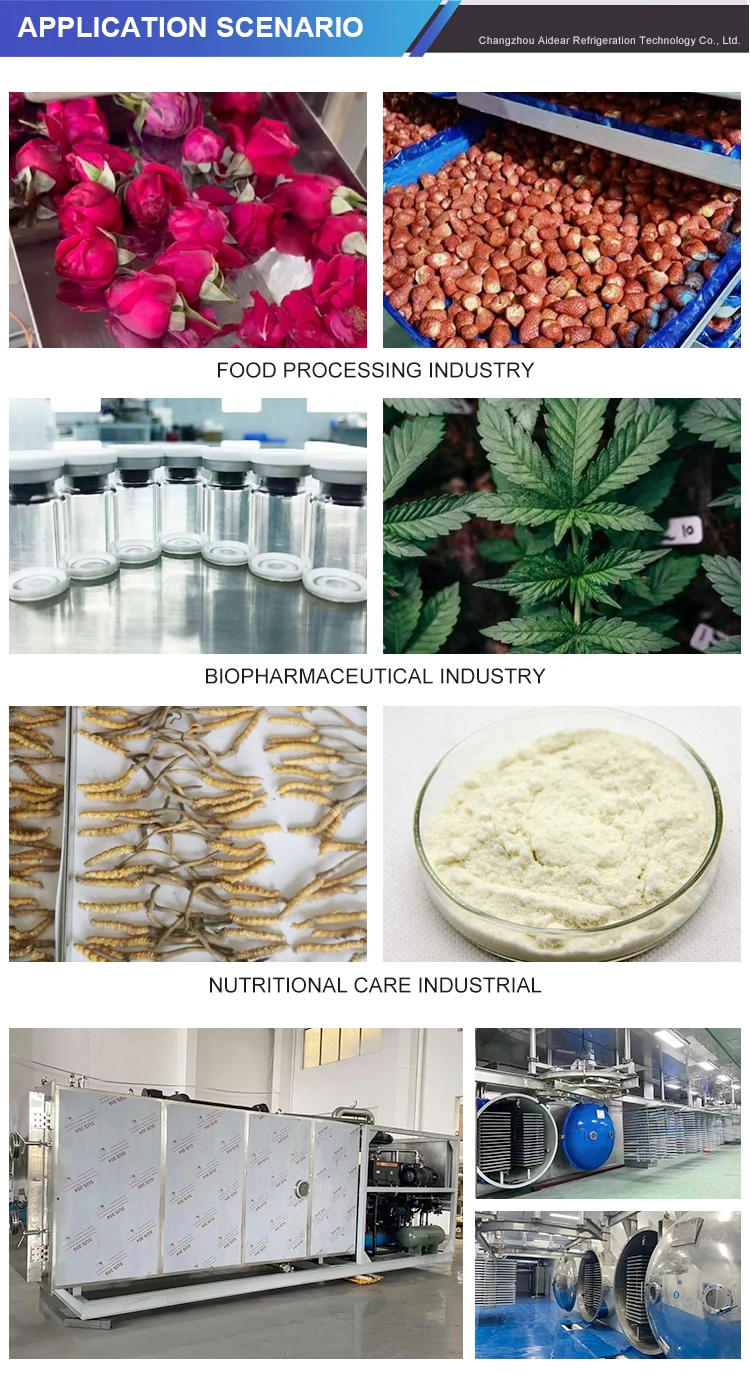 Aidear Lyophilization Equipment Freeze Drying Lyophilizer Machine ...