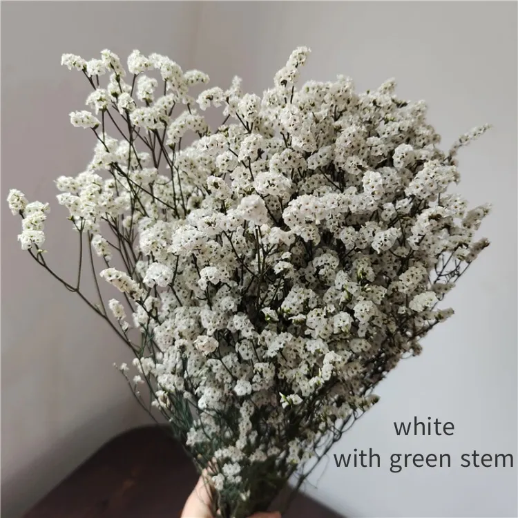Preserved Crystal Grass - Perfect for DIY Projects & Events