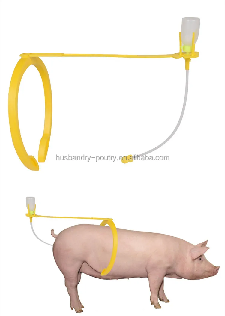 Pig Sow AI Equipment Artificial Insemination Kit Semen Bottle Clip Deep ...