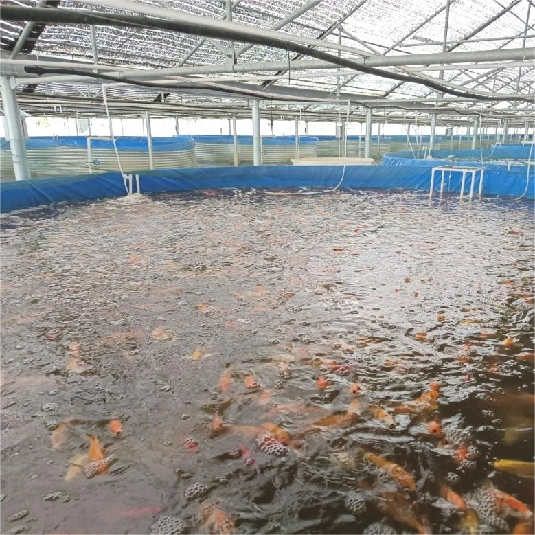 Portable Fish Pond Big Size Koi Pond Tanks Plastic Fish Tank Low ...