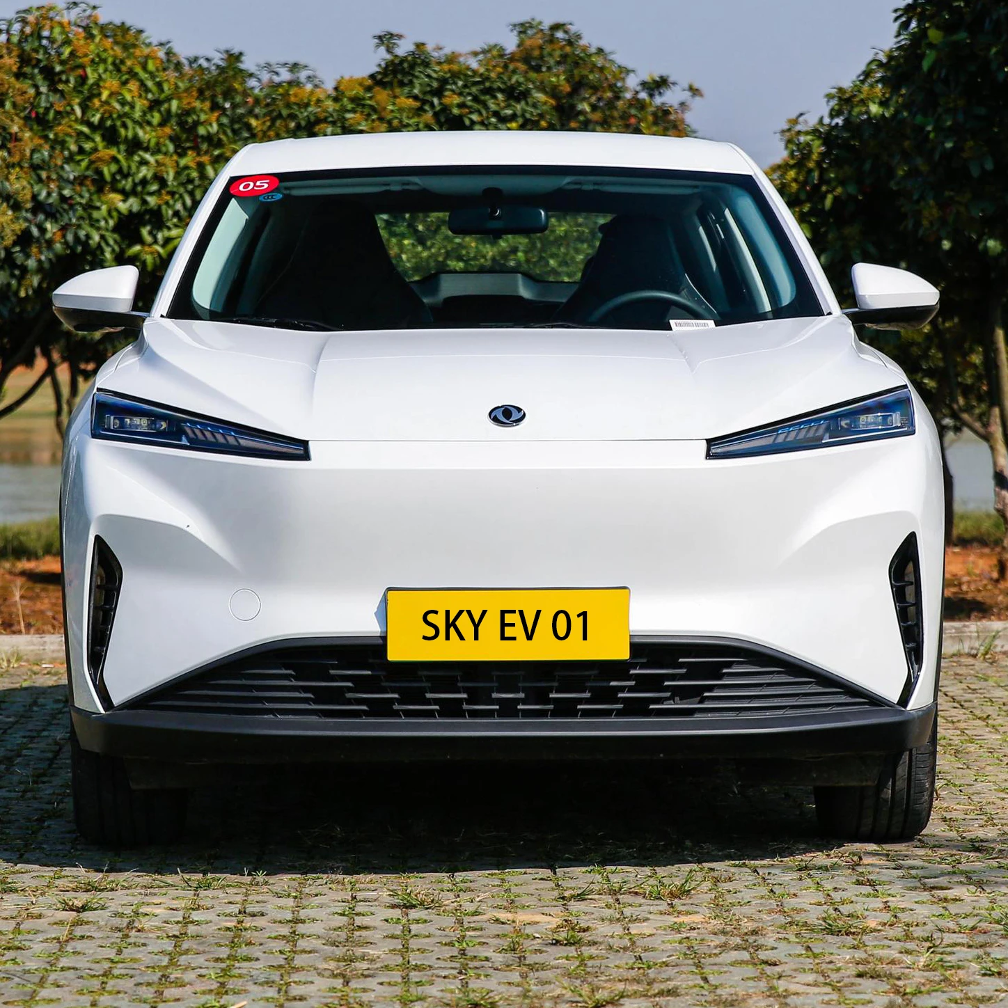 2024 Aeolus Sky Ev01 Low Price Pure Electric Suv China New Energy ...