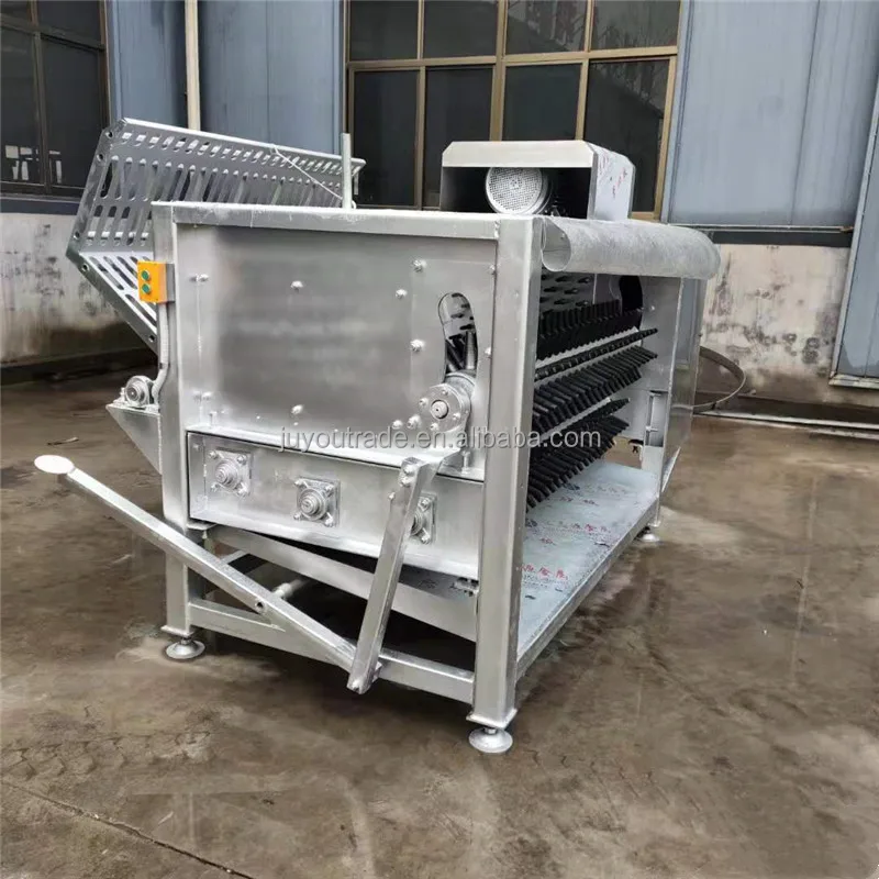 Automatic Pig Hair Removal Soaking and Ironing Integrated Machine Pig ...