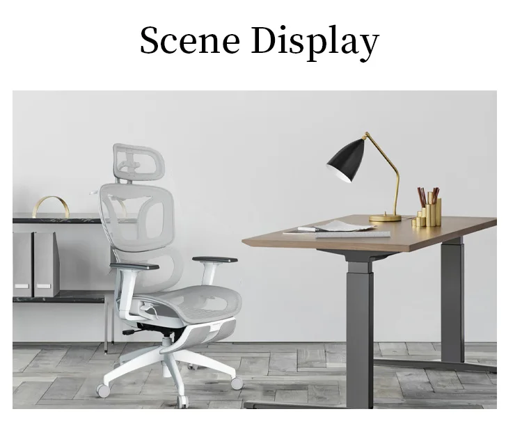 Luxury Home Office Furniture 3d Armrest Ceo Executive Ergonomic Mesh ...