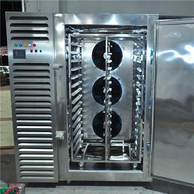 Frostplunge Chiller: Immersive Shock Freezing Technology,Ensures Food ...