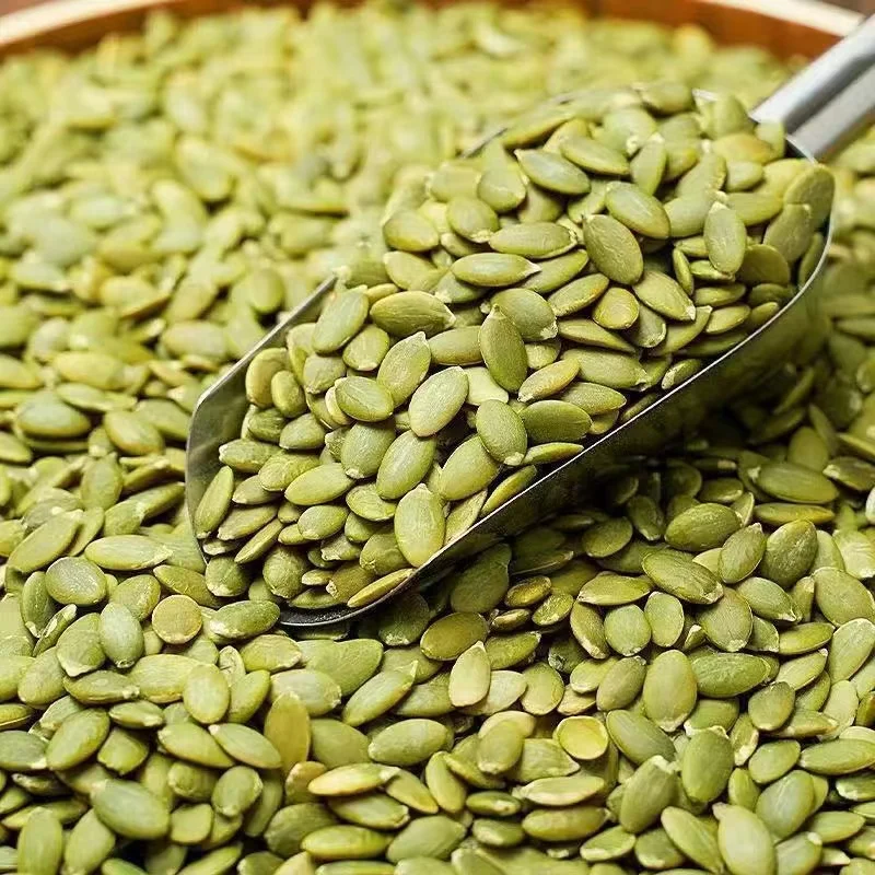 Ycoyco 500g Snacks Wholesale Original Taste Canned Daily Nut Healthy ...