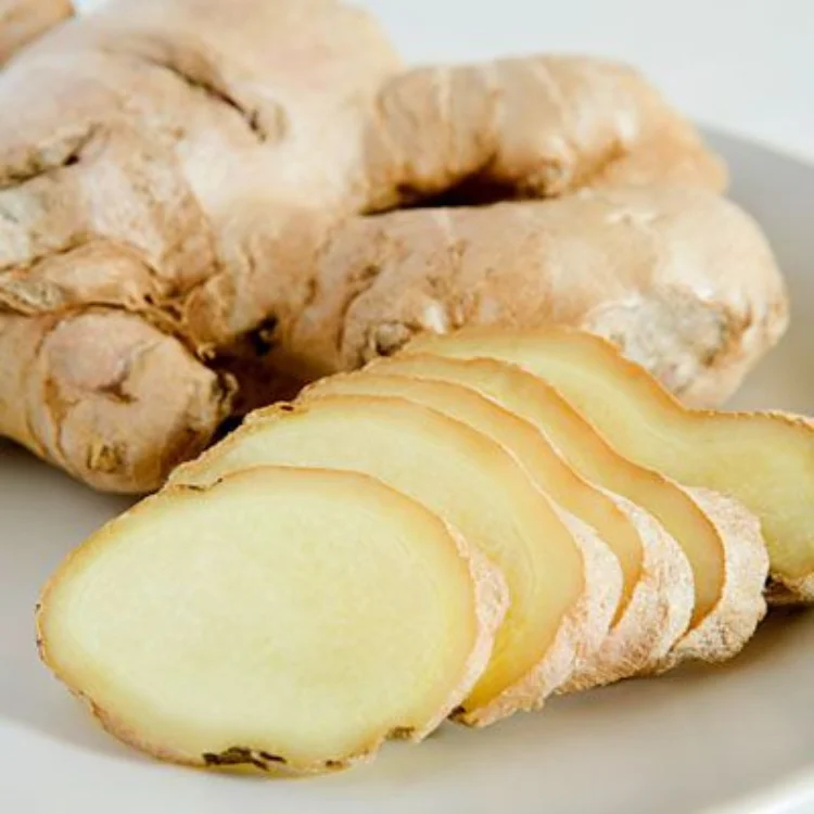 Fresh Ginger 100% Made In Vietnam Manufacturer Natural Organic Fresh ...