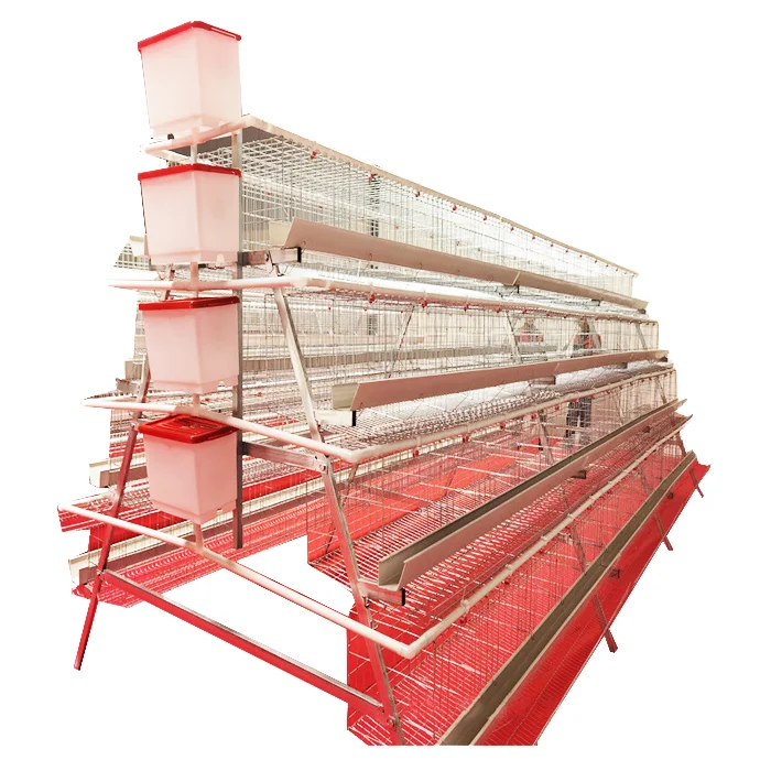 Chicken Coop Poultry Cage For Egg Laying Long-lasting Equipment For ...