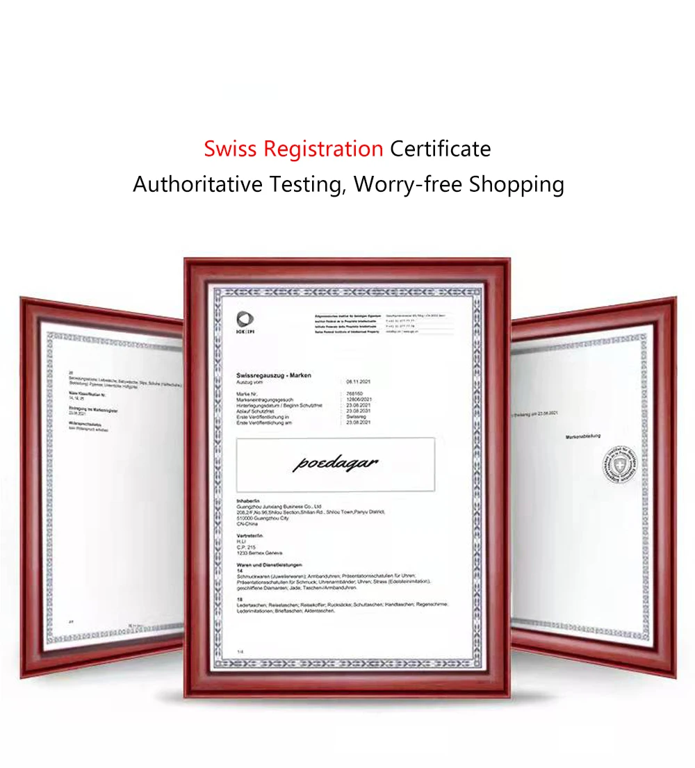 POEDAGAR 996 Luxury Men's Watch - Waterproof Quartz Chronograph