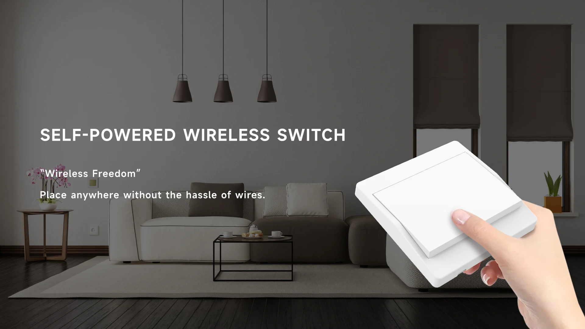 Company Overview - Shenzhen Qixin Technology Co., Ltd.