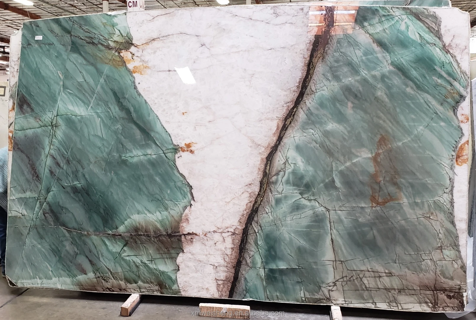 Botanic Green Quartzite - Elegant Slabs for Countertops