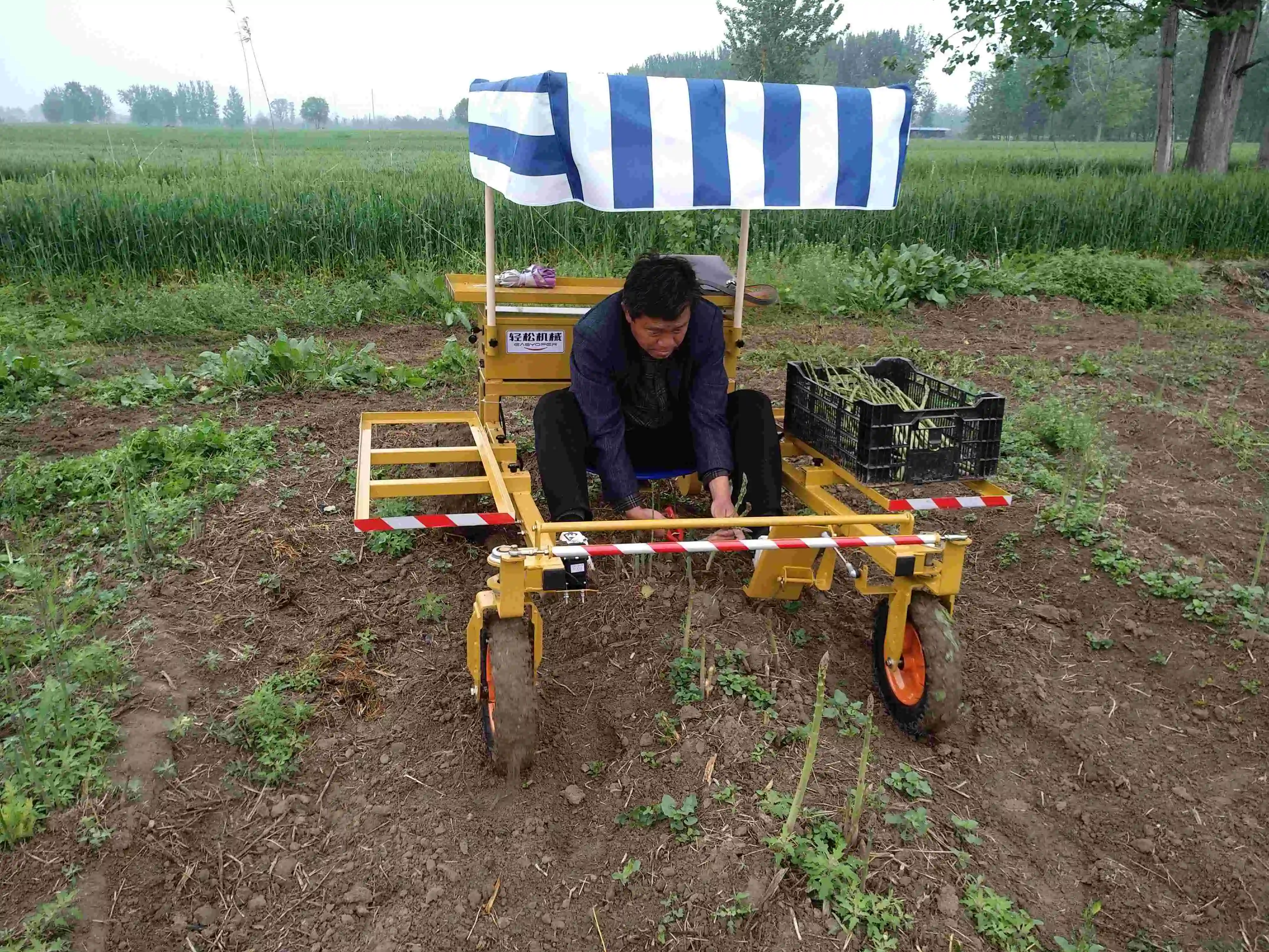 KCE-100 Electric Mini Harvester for Green Asparagus - Efficient Farming ...