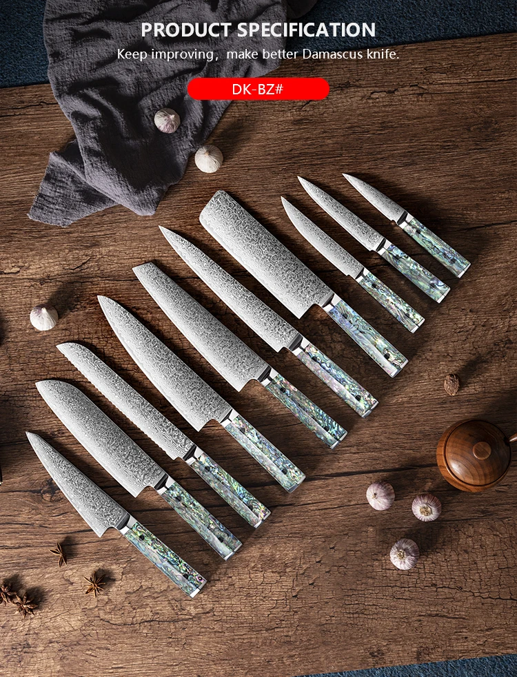 High Quality Knife Set Abalone Shell Handle 10 Piece Damascus VG10 ...