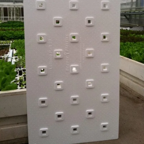 Hydroponic Floating Raft EPP Foam Board for Agriculture