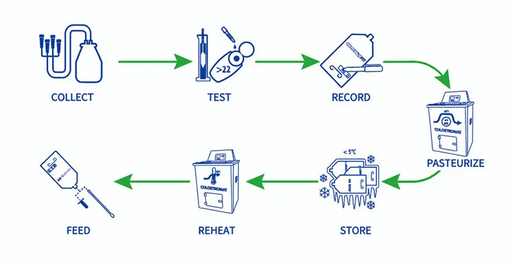 Custom Printed 4L Calf Colostrum Bag with Silicone Tube