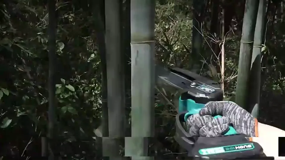 Cs01 Mini Portable Handheld Power Electric Chainsaw 4 6 Inch Wireless ...