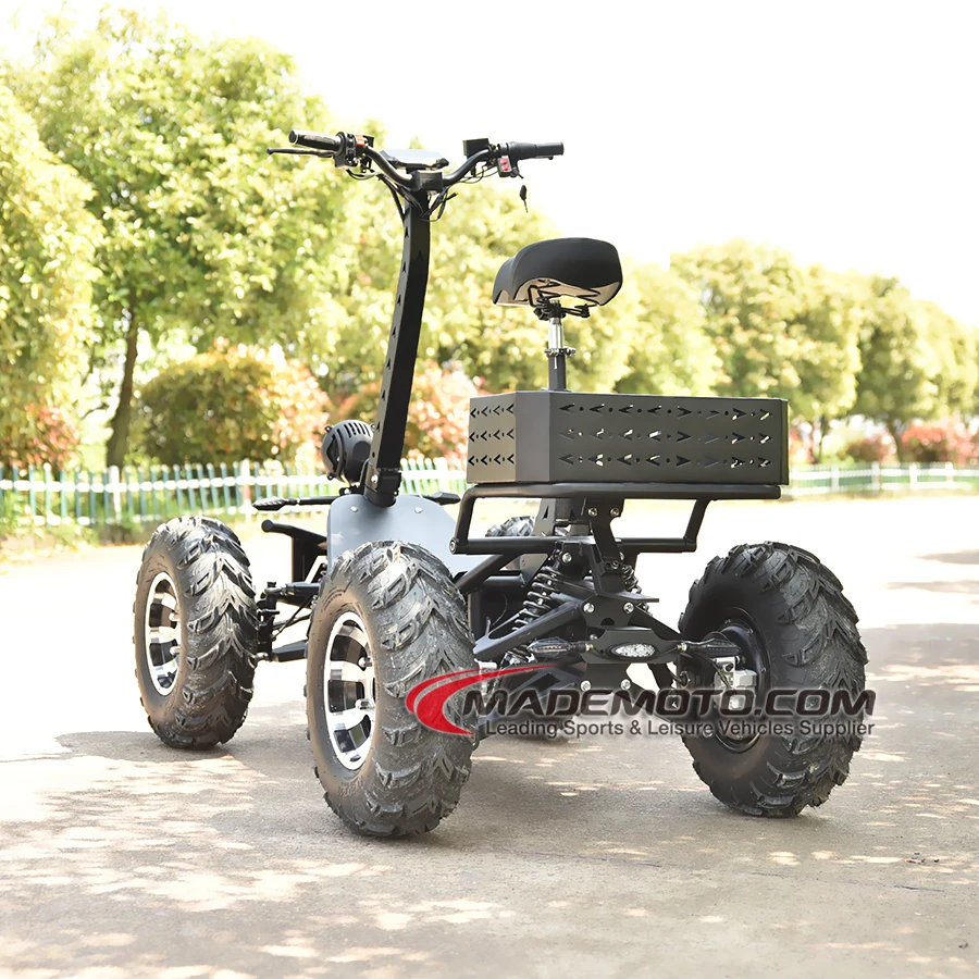 Fat Tire Quad Bike - 8000W Electric ATV with 10 Inch Tires