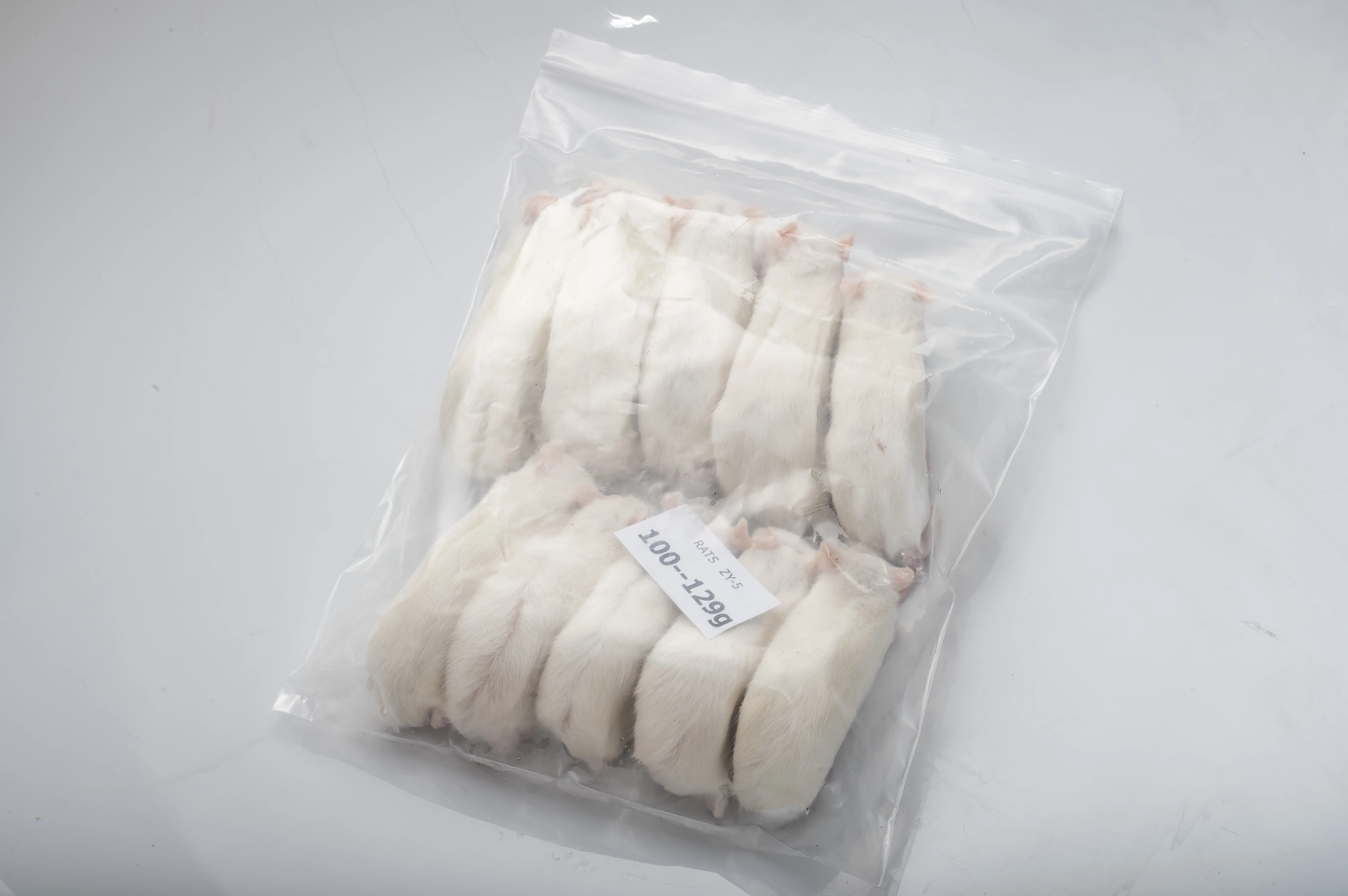 Pinky Mice for Pet Snakes, Lizards, Frogs, Turtles, Crocodiles, Foxes ...