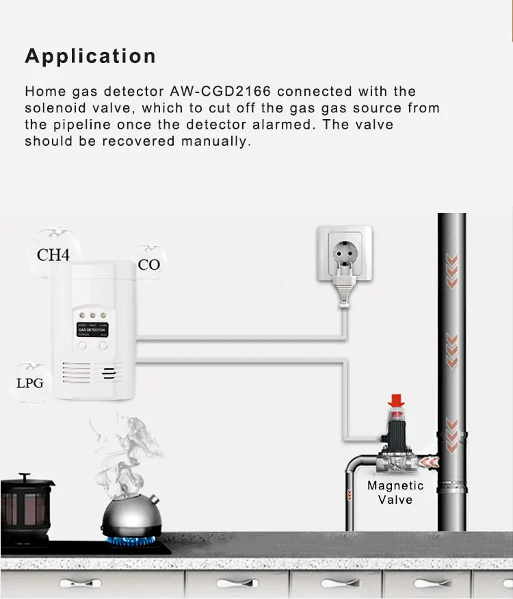 Factory Wall Mounted 12V/220V LPG Gas Leak Detector Price