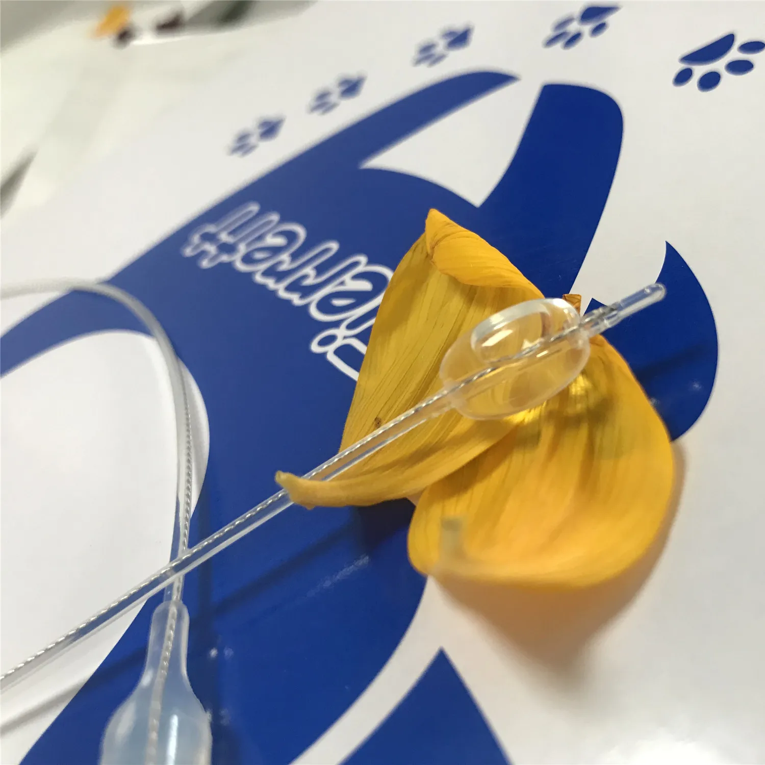 Japan "Tierrett" Silicone Double Cavity Catheter 3.5Fr 0.8ml L-250mm with Balloon and Guide Wire ...