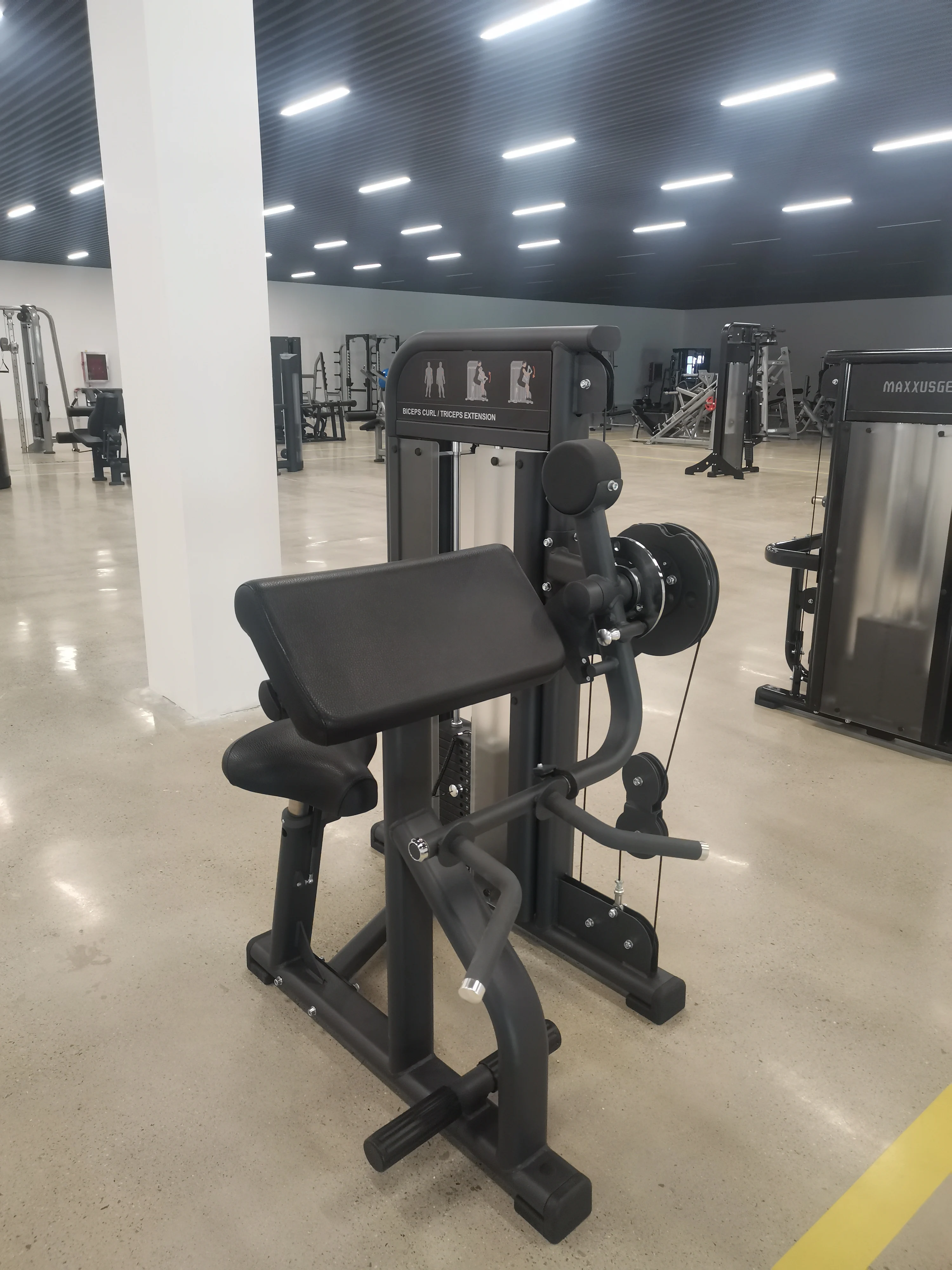 Biceps Curl Triceps Extension MachineBiceps Triceps Machinebicep Tricep ...