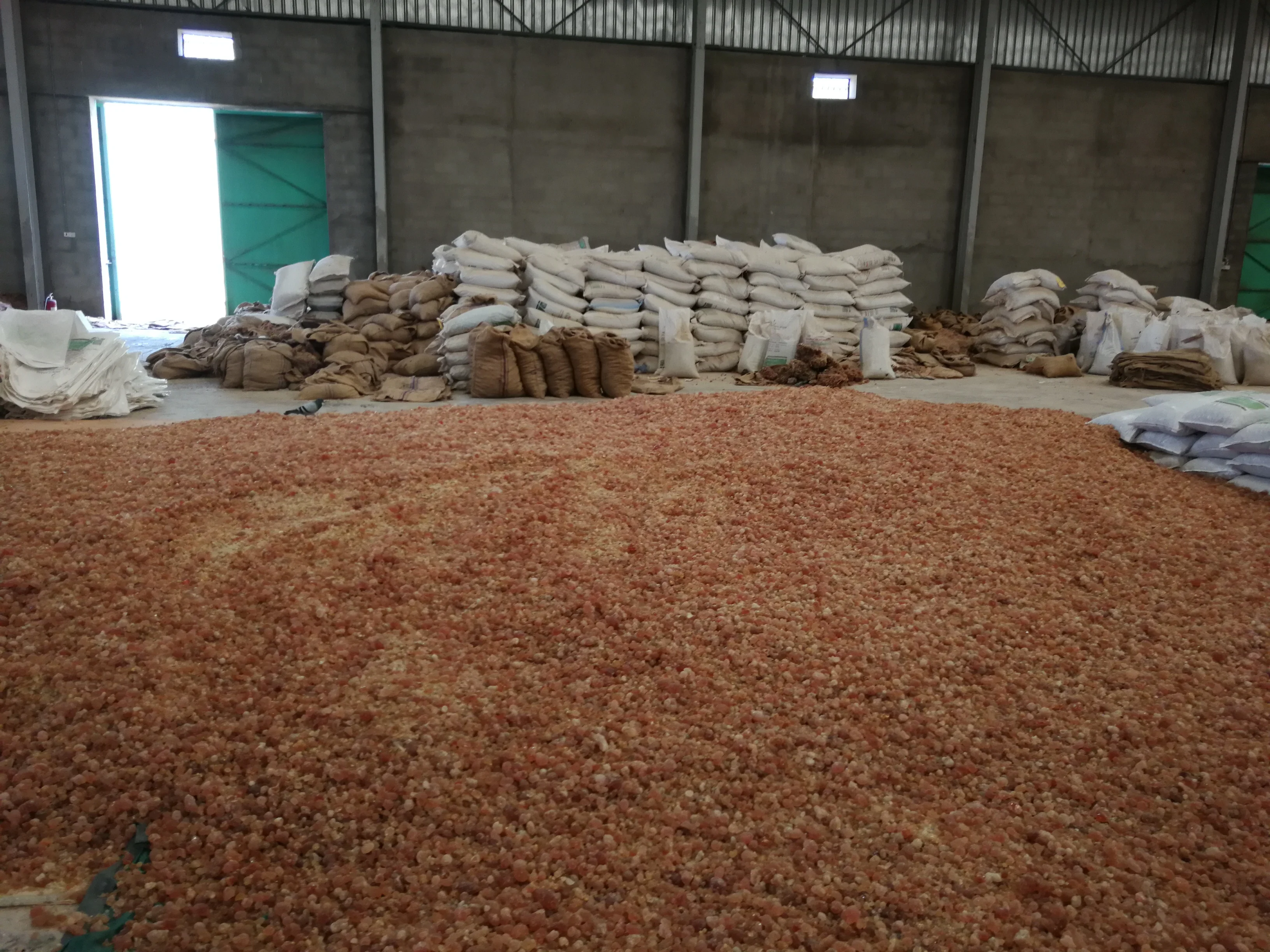 High Quality Acacia Arabic Gum - Multipurpose Raw Gum