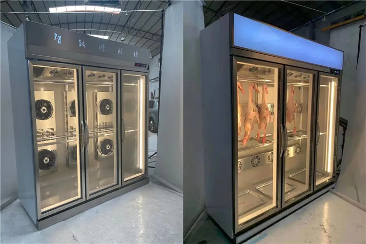 Stainless Steel Air Cooler Dry Ager Duck & Goose Maturing Fridge with ...
