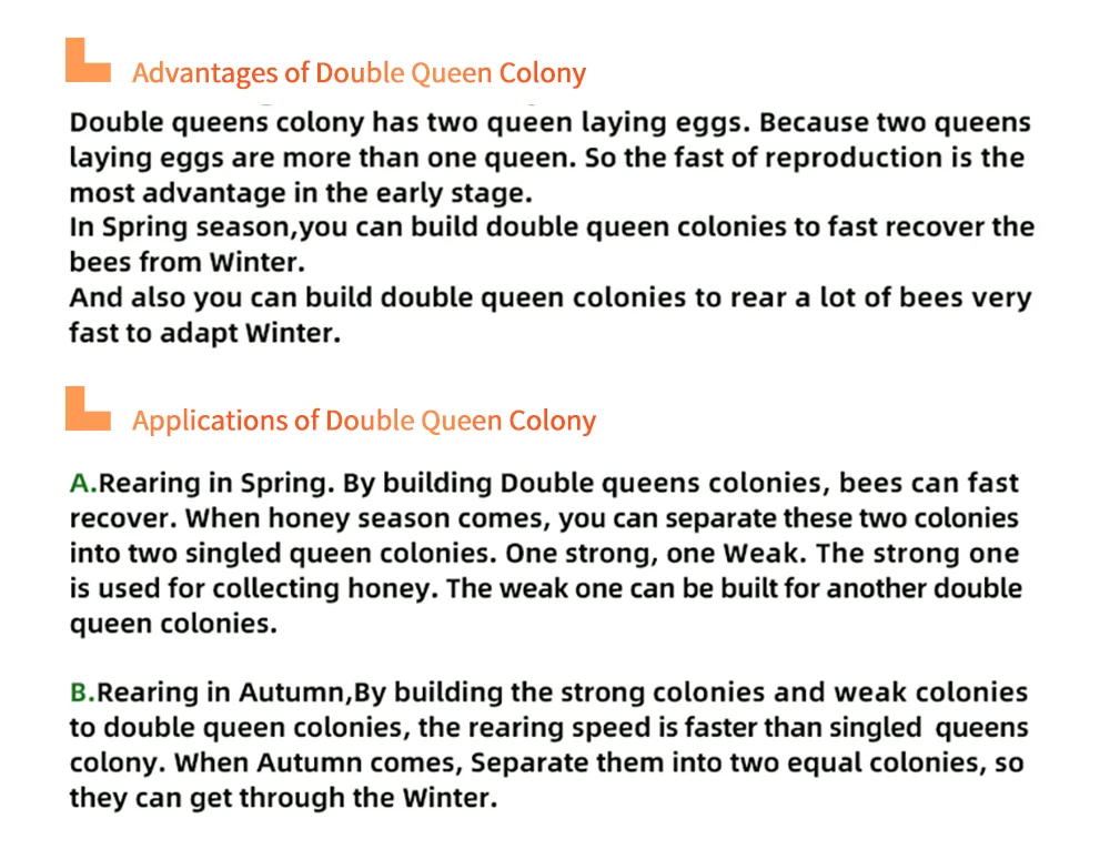 Bee Nuc Duplex Mini Mating Nucs - Double Queen Bee Colony