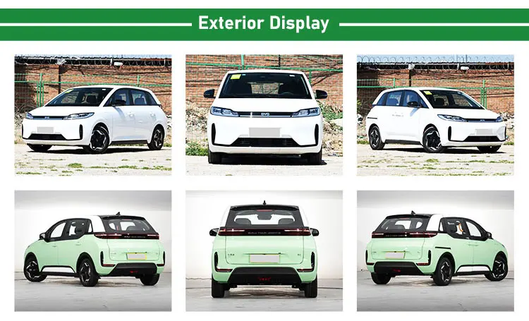 In Stock Byd D1 High Speed Luxury Vehicle Ev High Quality 2022 2021 ...