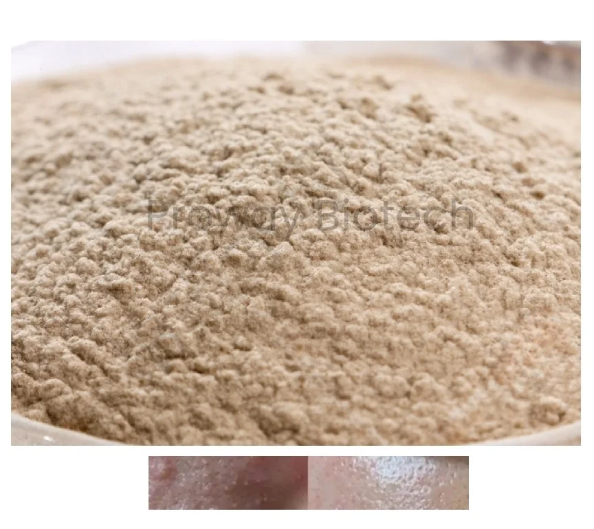 Promotional Sponge Microneedles Hydrolyzed Sponge Spicule Powder for ...