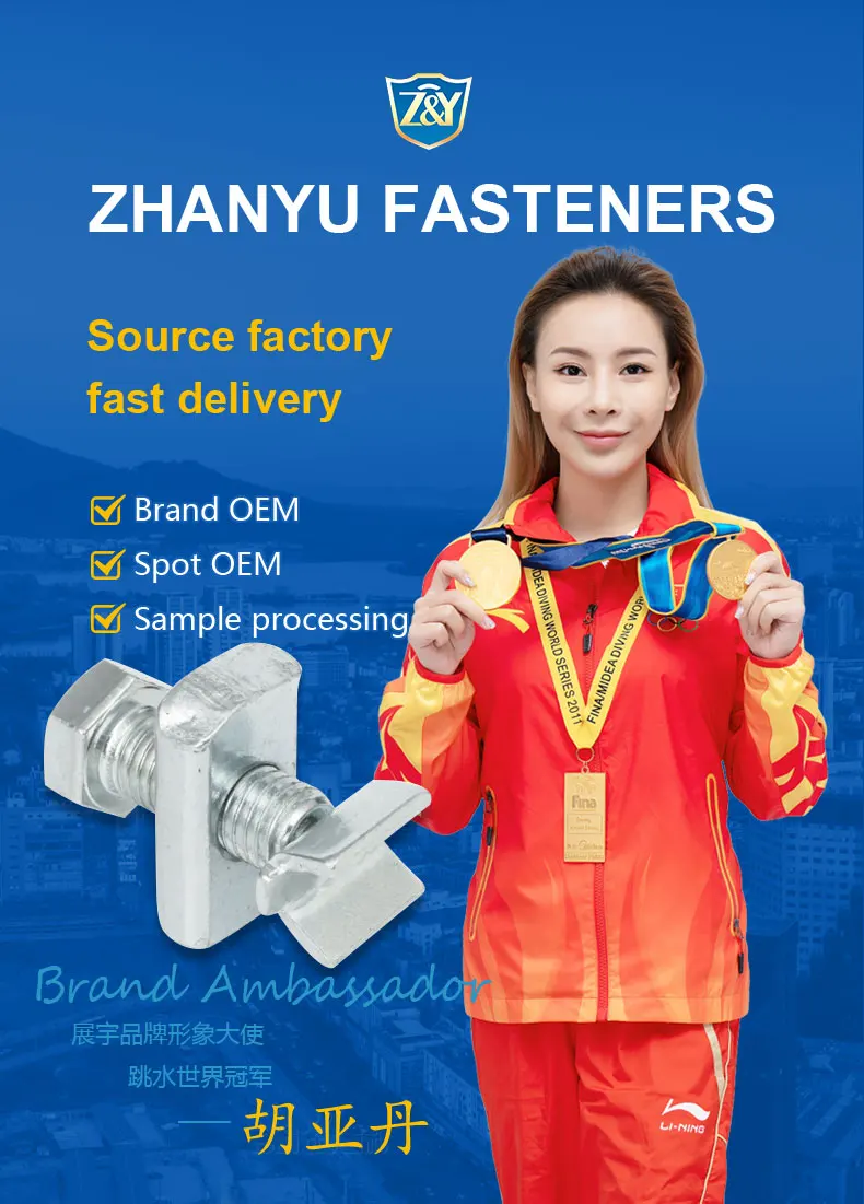 Seismic Rod Stiffener Nuts T Bolts - Anti-Seismic Support