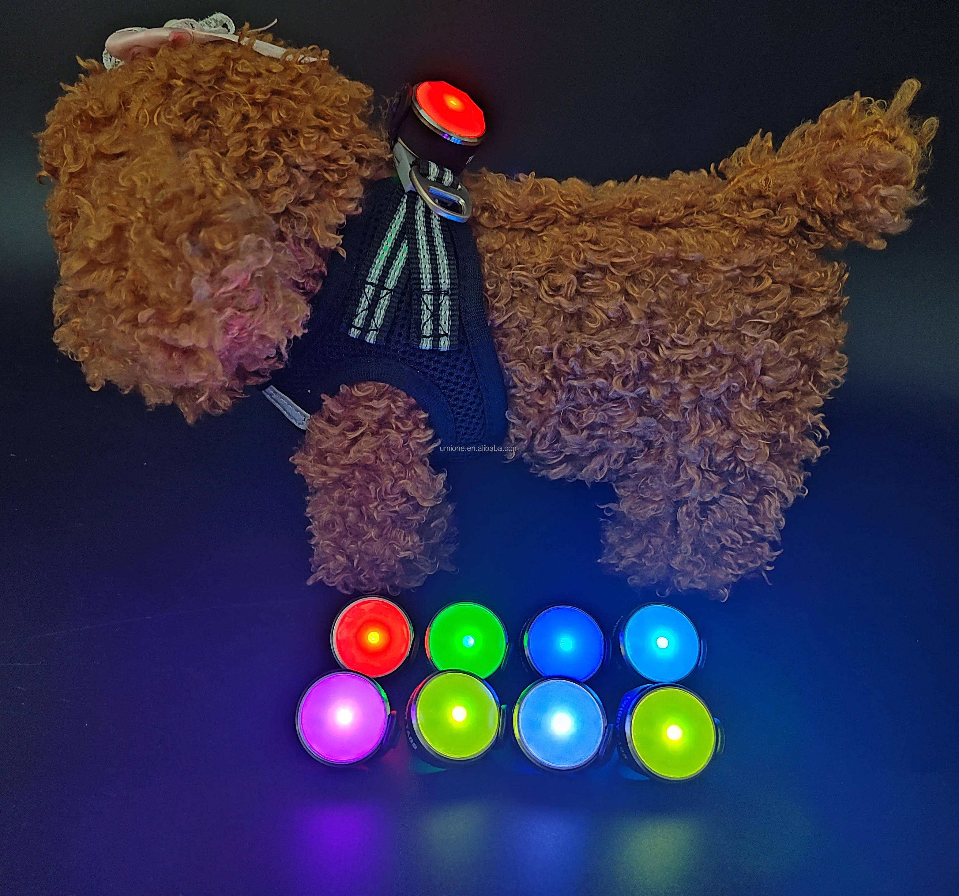 Umione Night Dog Lights Rechargeable Rgb Color Changing Dog Collar ...