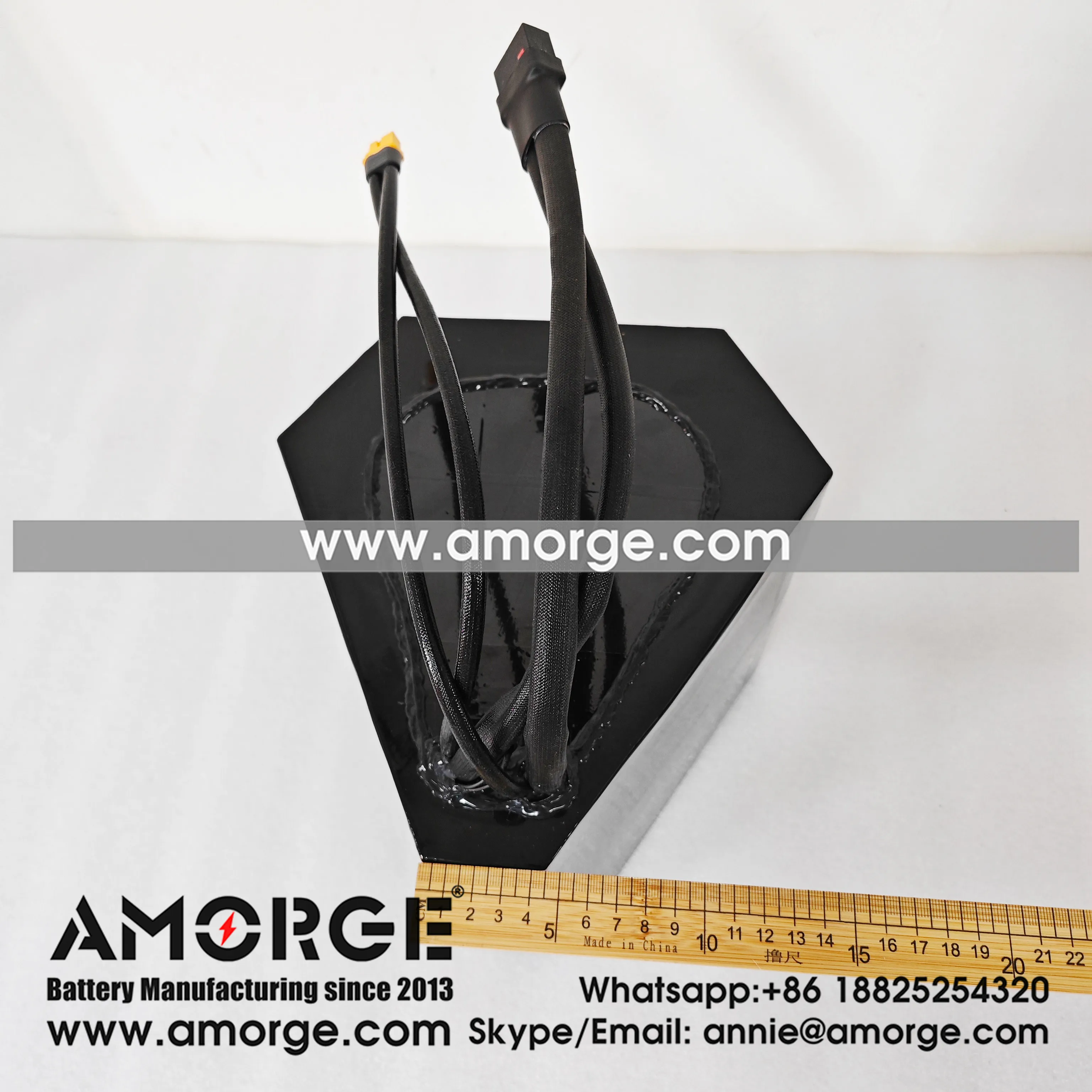 Amorge Customized Battery Pack - 72v 42v 225A with ANT BMS
