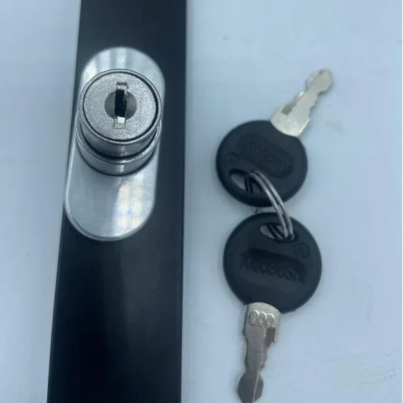 Glass Sliding Panel Lock Plunger With Cover Plate - Buy Lock Plunger ...