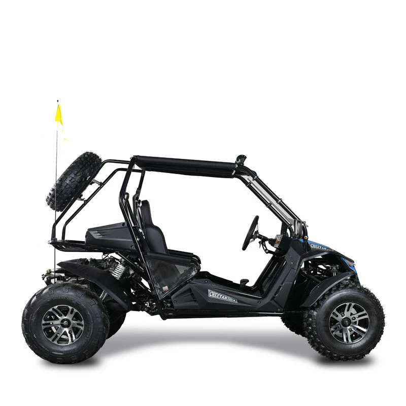 Dune Buggy All Terrain Balanced Brute 1100cc Dune Buggy For Adults ...