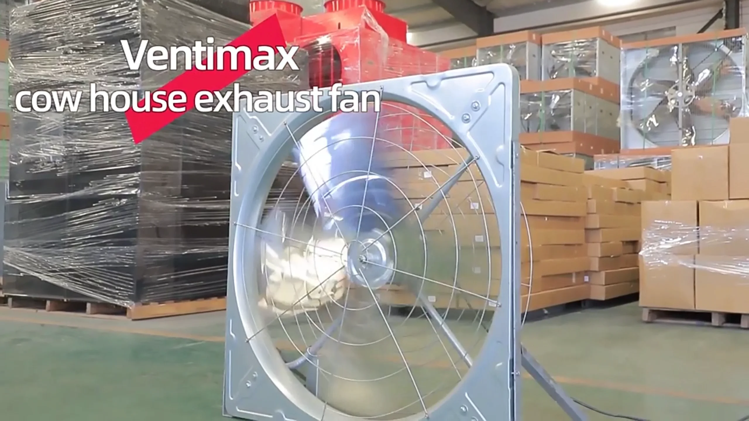 Large Wind Ventilation Cooling Exhaust Fan For Cow Cattle House/farm ...