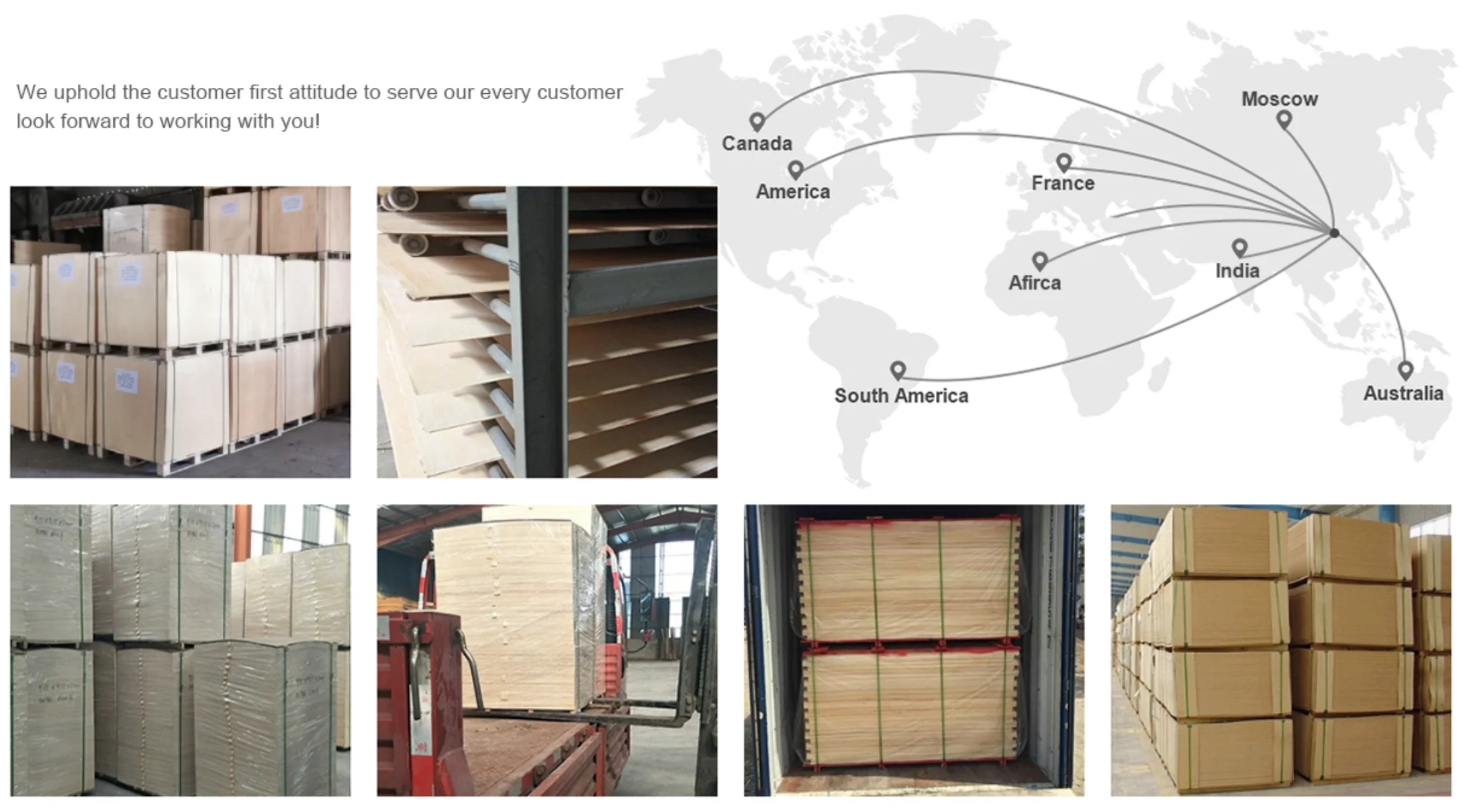 F17 Formply Formwork Concrete Hardwood Core Phenolic Glue Shuttering ...
