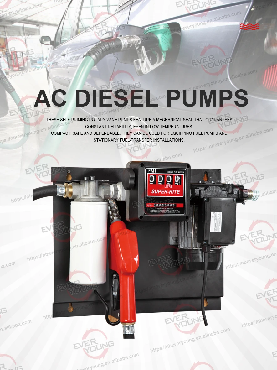 Diesel Transfer Pump Kits 230V with Meter and Filter