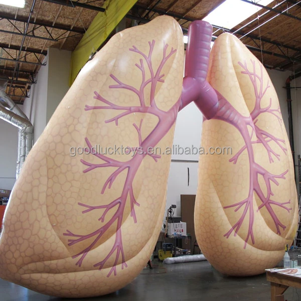 Giant PVC Inflatable Lungs - Lifelike Lung Tube Model Balloon