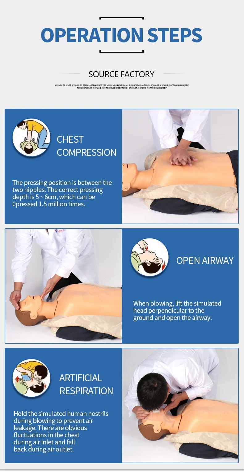 Full Body Cardiopulmonary Resuscitation Simulation Training Model Life ...