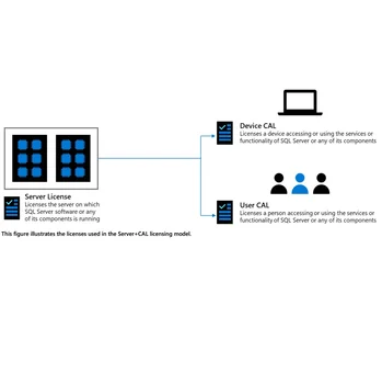 Device Connections For 50 Devices Microsoft Windows Server 2019 Rds Cal ...