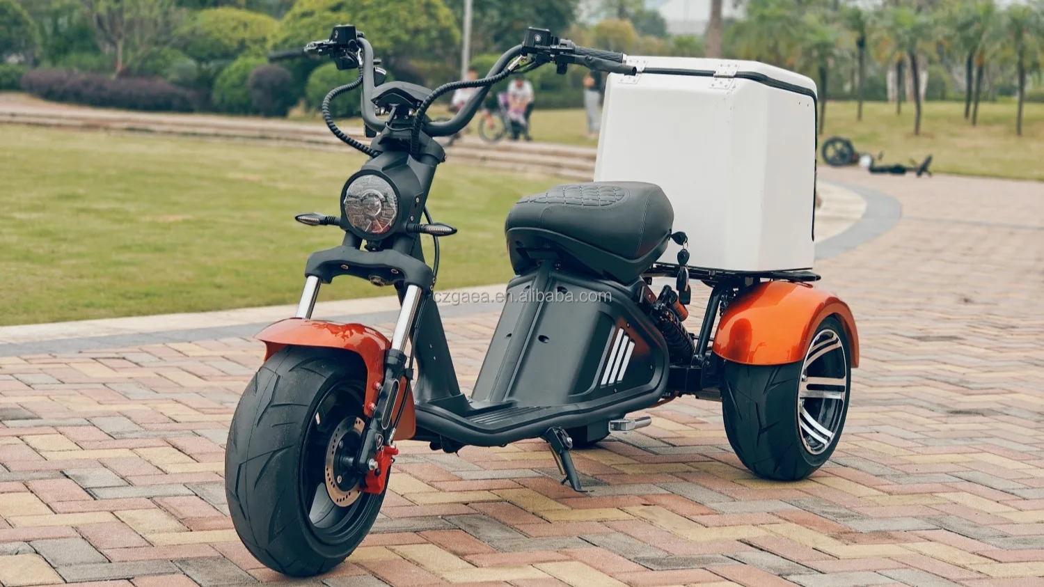 Citycoco M2 12 Inch Fat Tire Adult Electric Scooter With Removable ...