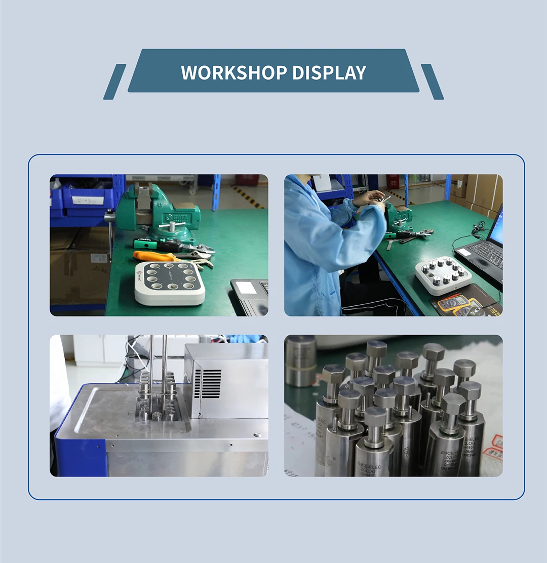 Autoclave Data Logger - Precision Temperature & Pressure Measurement