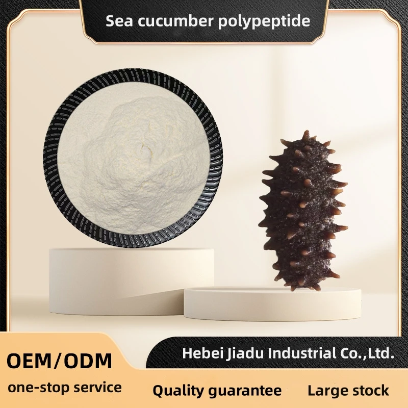 Peptide Protein Powder Fresh Sea Cucumber Peptide - Buy Sea Cucumber ...