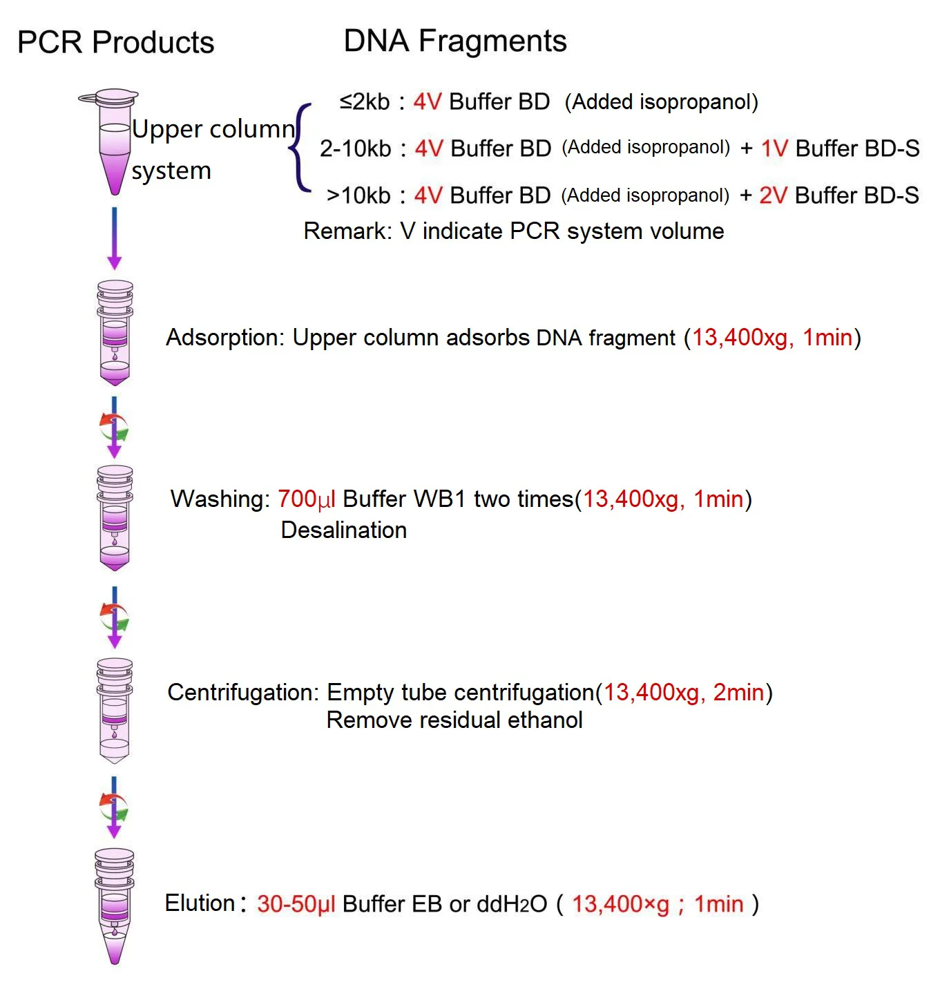 Foregene PCR Purification Kit - Efficient DNA Extraction